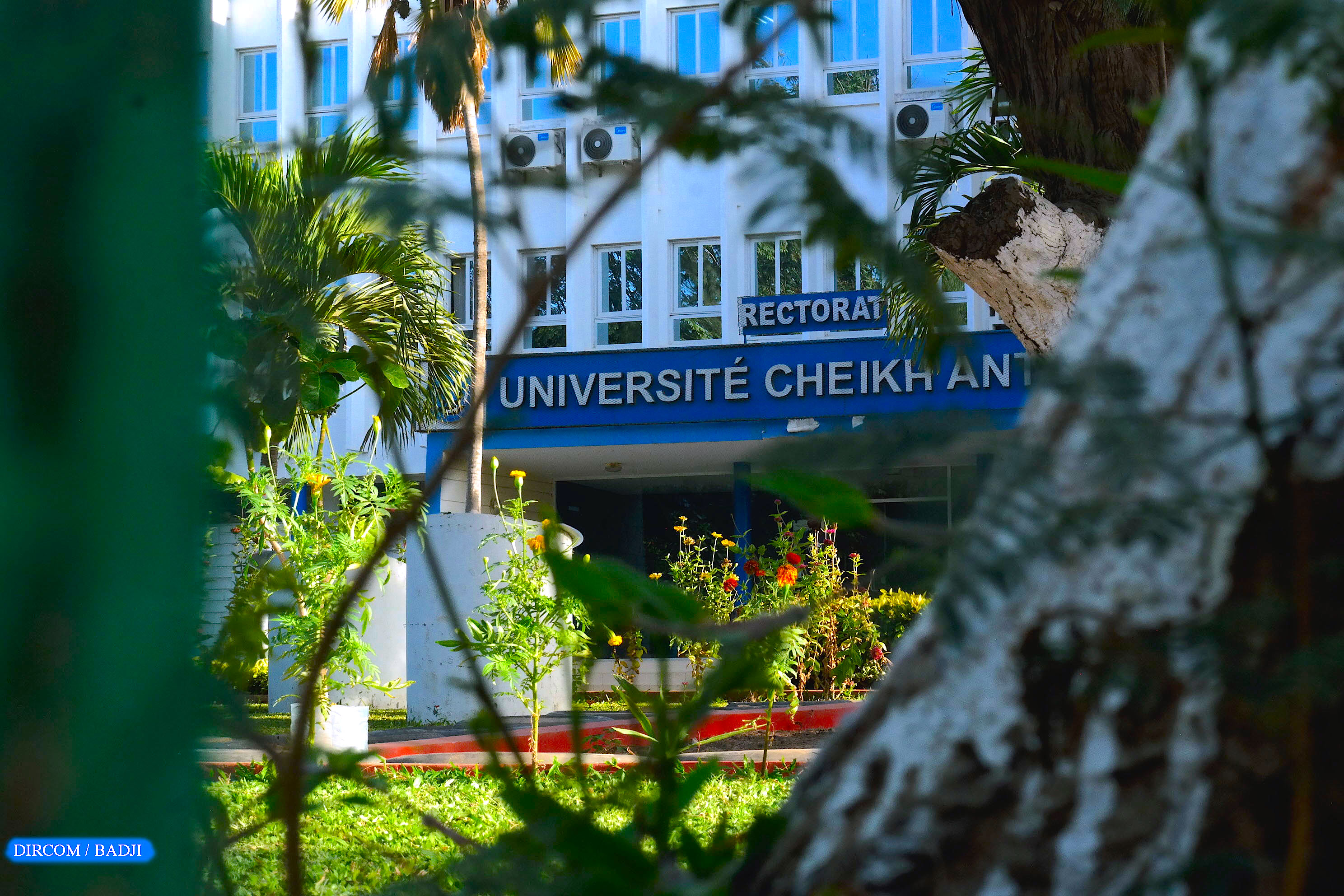 Communiqué du Conseil académique de l’UCAD | Université Cheikh Anta Diop de Dakar